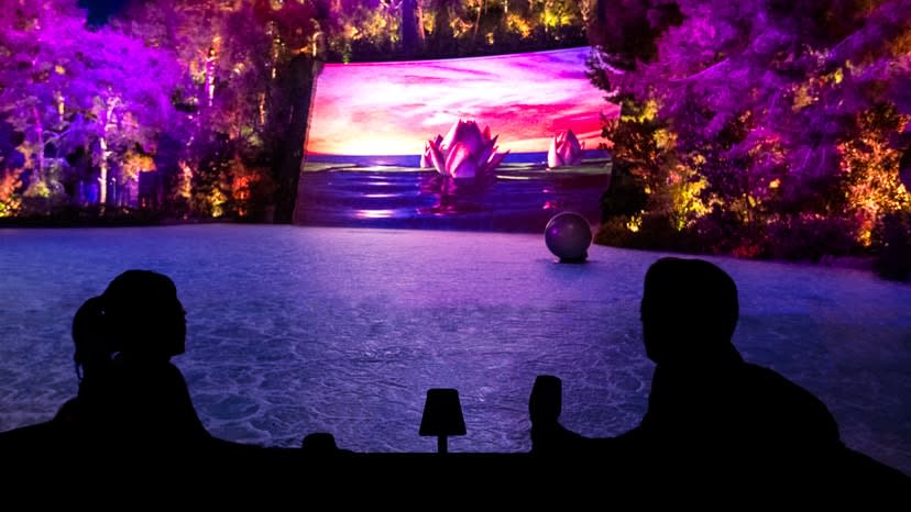 Las Vegas Shows & Entertainment | Wynn Las Vegas & Encore